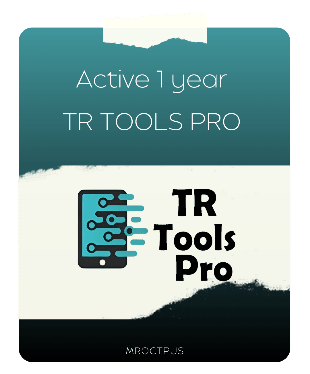 اکتیو یکساله TR TOOLS PRO ️ - مستر اختاپوس